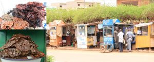 Production et commercialisation de Kilichi au Niger : Plus qu’un ...