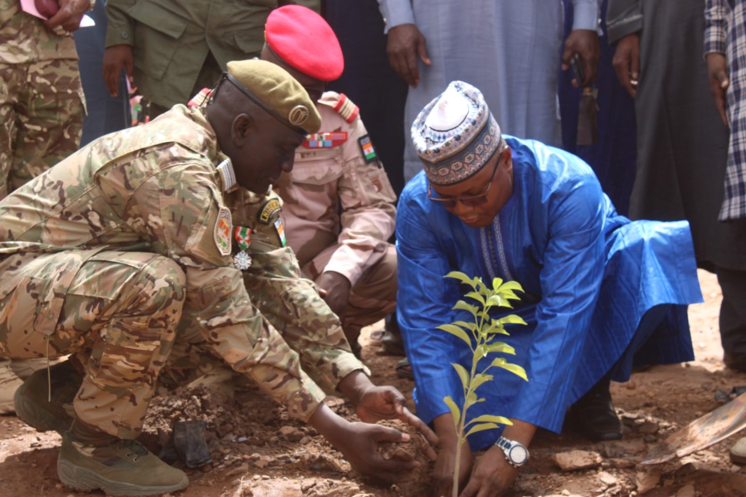 Célébration de la Journée Nationale de l’Arbre, édition 2025 : A Agadez ...