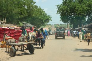 Chômage des jeunes au Niger : 51.847 demandeurs d’emploi enregistrés à ...