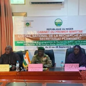 Chômage des jeunes au Niger : 51.847 demandeurs d’emploi enregistrés à ...