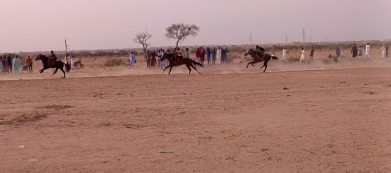 Zinder : La population fête la Tabaski dans la ferveur populaire | Le Sahel